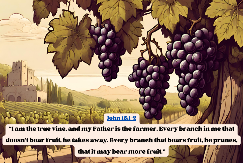 32 best Bible verses about trees | CsV