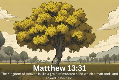 Trees in the Bible: deep spiritual meaning & symbolism